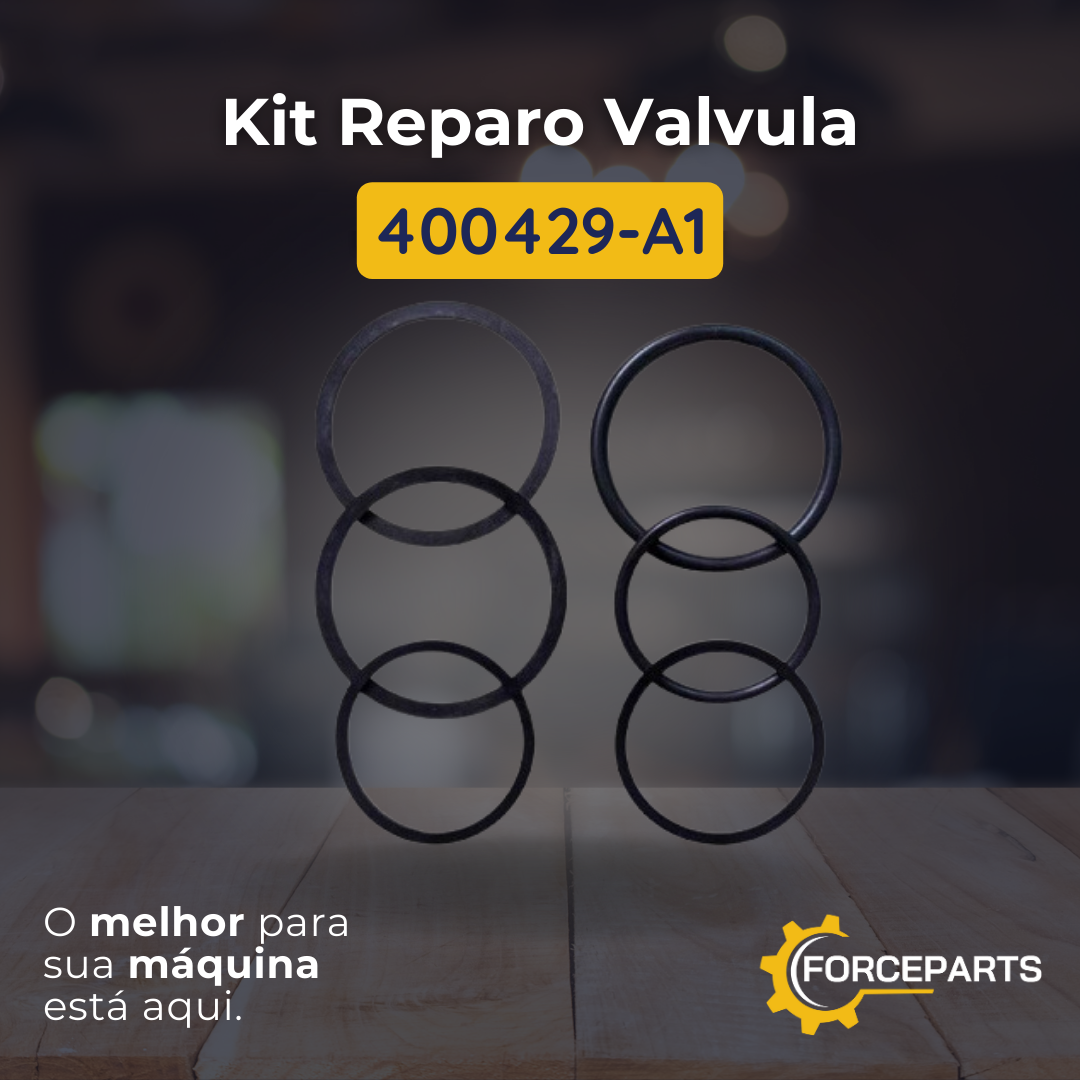 Kit reparo da valvula 400429-A1